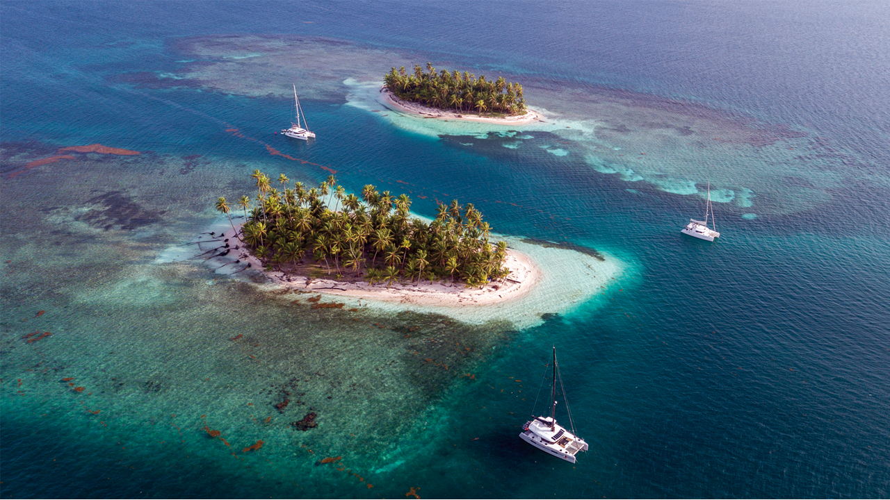 Cat’Leya au Panama : un diamant à 3 facettes ! - - Océan Atlantique ...